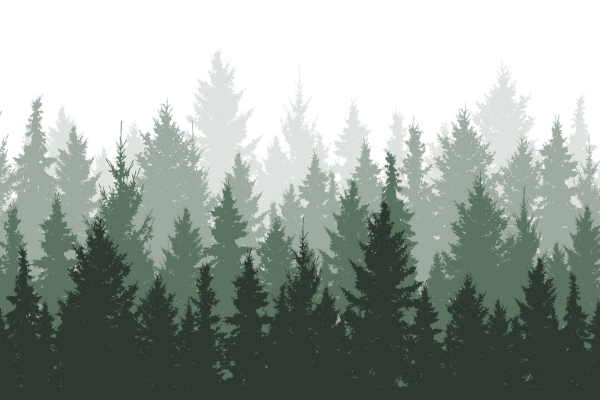 Explainer: What is a Forest Plot? | Research Square