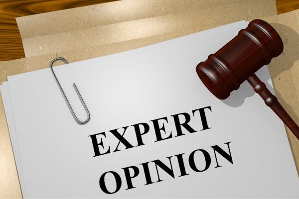 Opinion Piece: An Expert Opinion About the Problem with Expert Opinions ... Opinion Piece: An Expert Opinion About the Problem with Expert Opinions ...