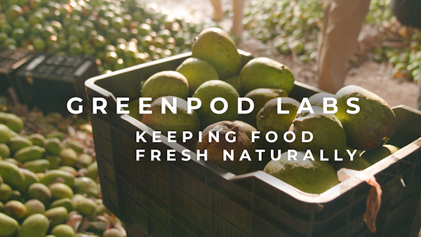 GreenPod Labs - RE:TV