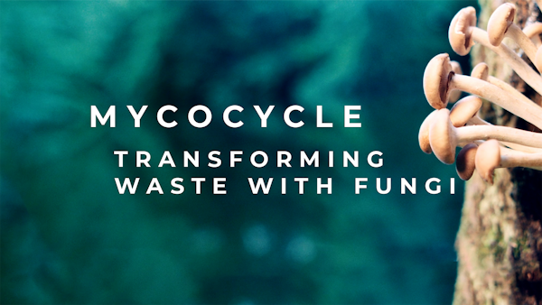 Mycocycle - RE:TV