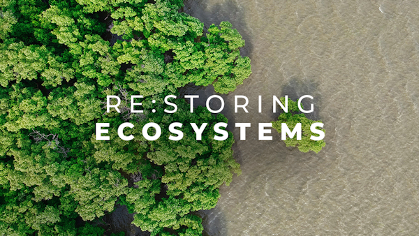 RE:storing Ecosystems - RE:TV