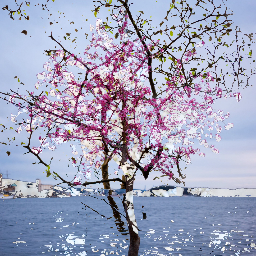 Announcing Rewire x Ultima: Fluid Formations