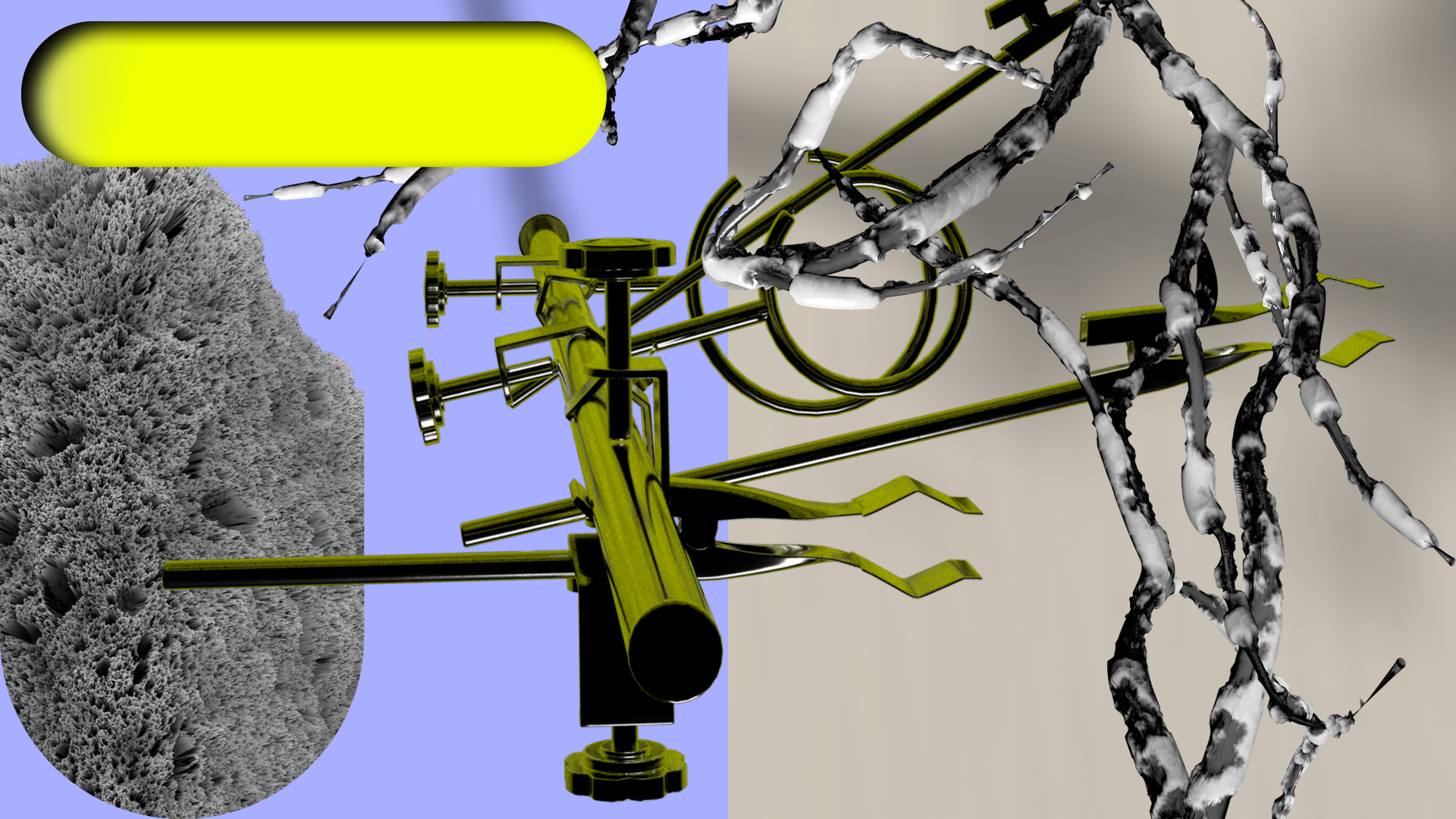 Welcome to Rewire 2022!