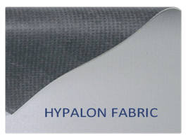 Zodiac hypalon or pvc 60 photos - Astrologytoyou.com