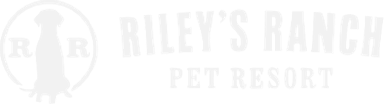 Rileys Ranch Pet Resort | Exceptional Pet Care Services: Daycare ...