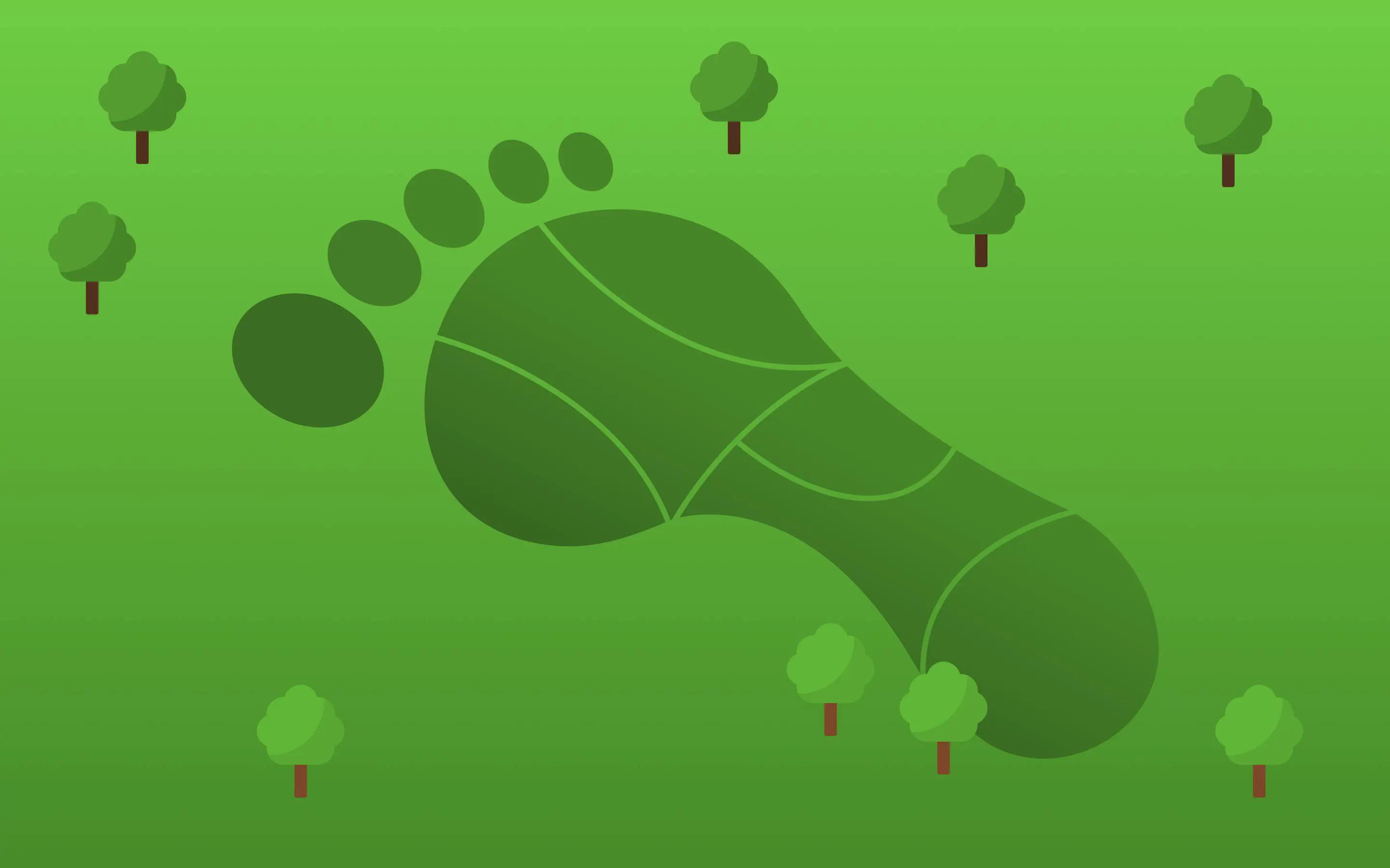 Four ways to reduce your code’s carbon footprint | Rocketmakers