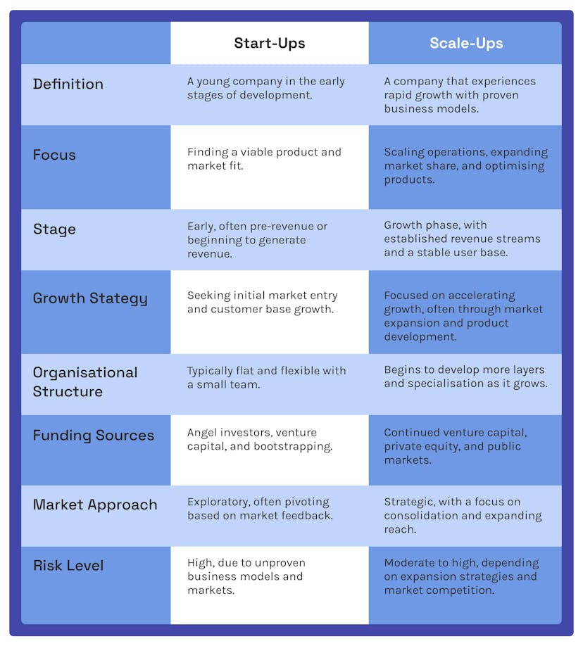 Strategies For Success: Navigating The Scale-Up Company Journey | Rocketmakers