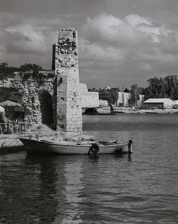 Theodore Cohen | RoGallery