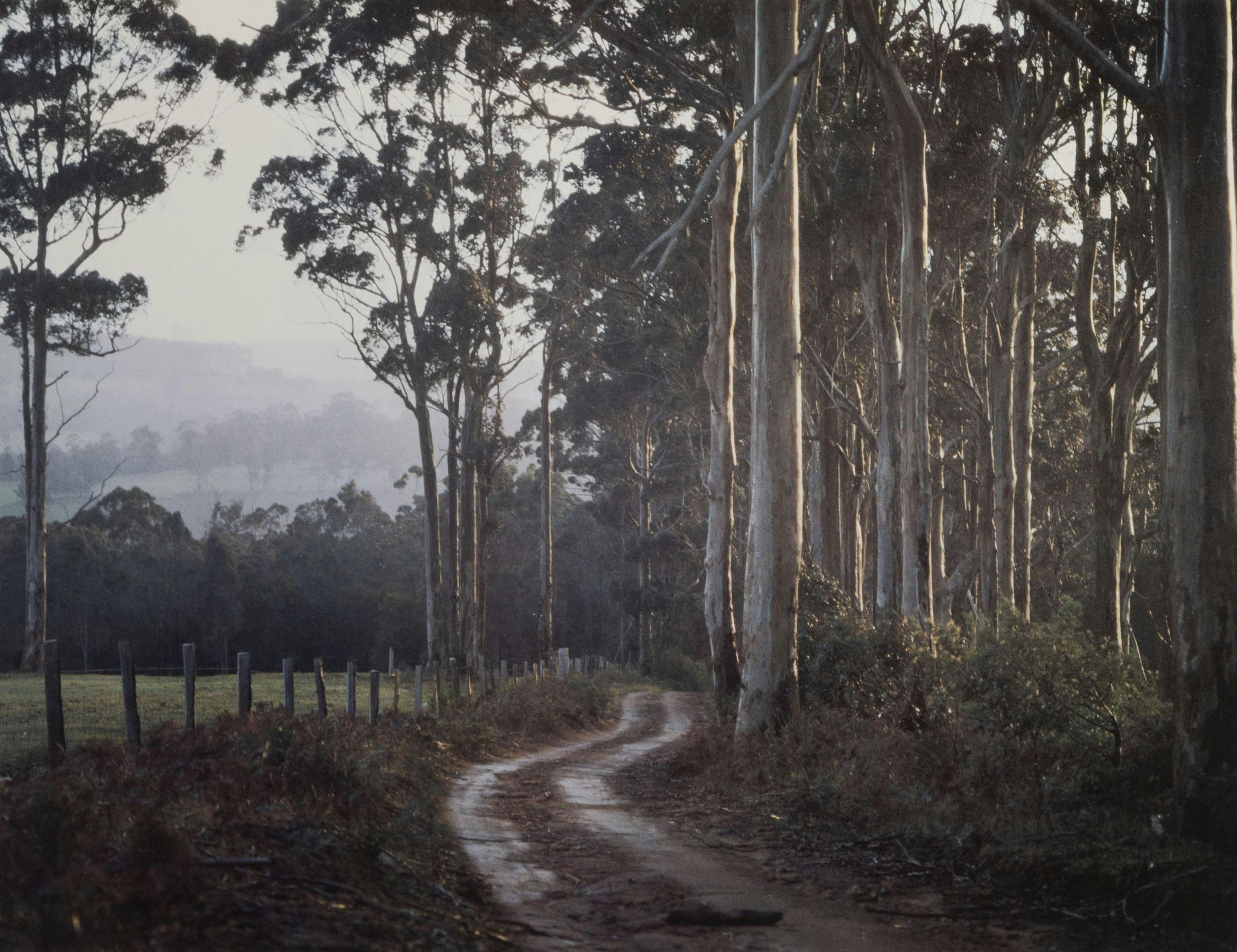 Deborah DeWit | RoGallery