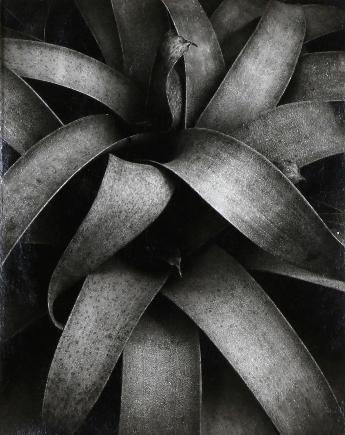 Black And White Photography | Kipton Kumler | RoGallery