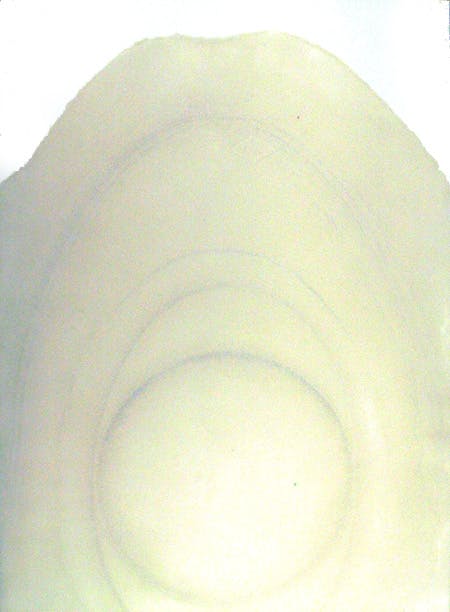 Pat Lasch | RoGallery