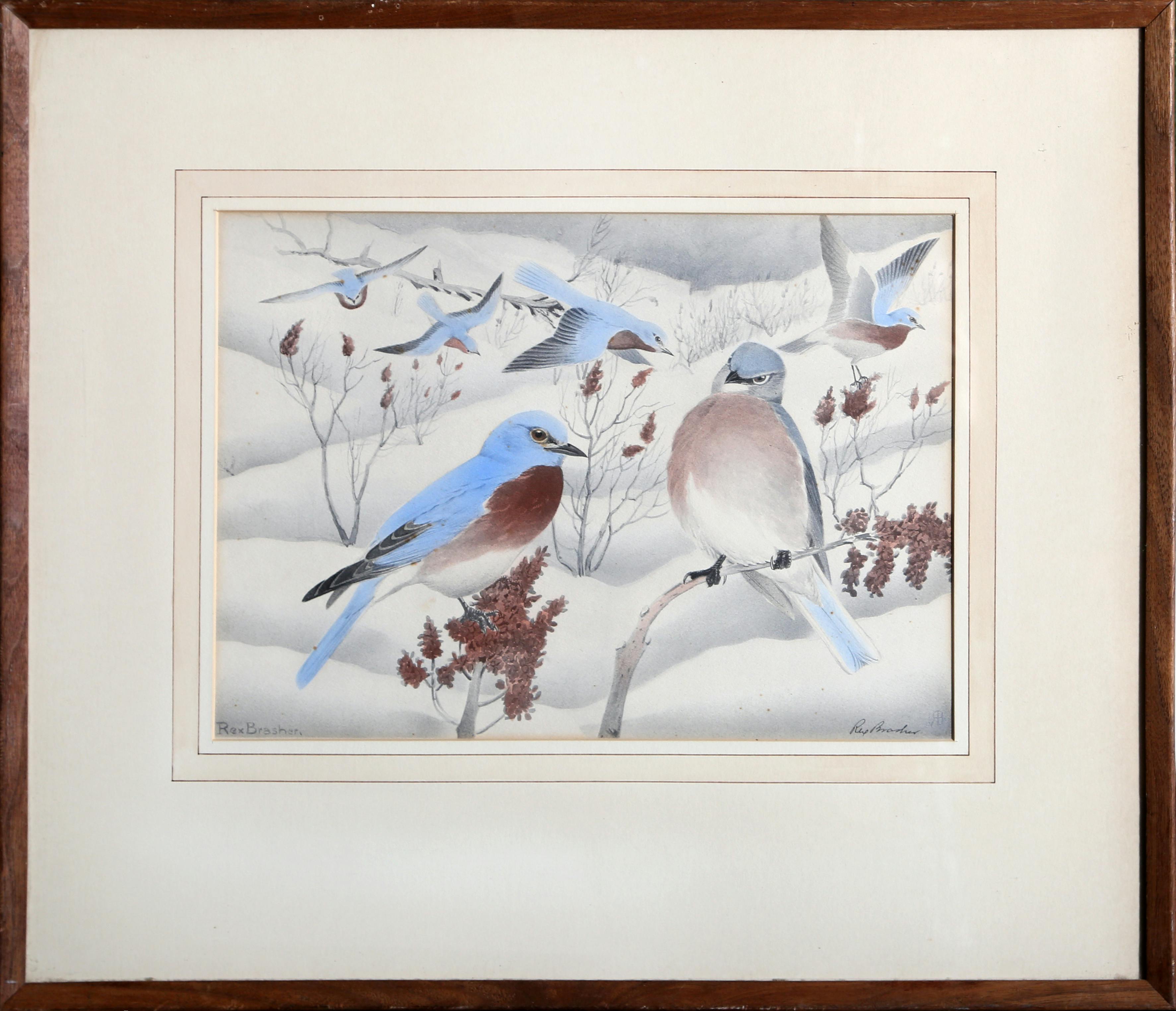 Rex Brasher | RoGallery