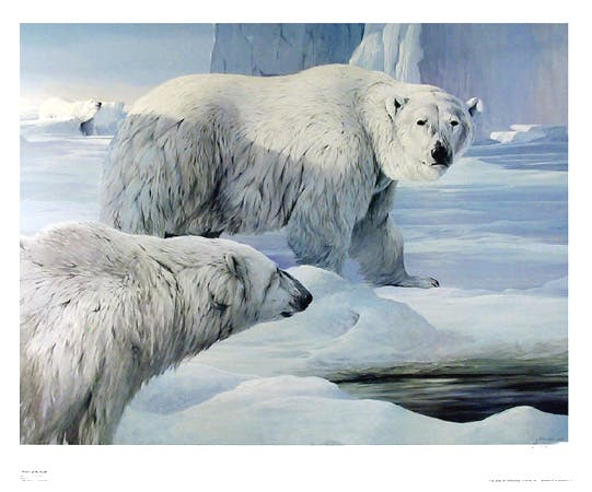 Mario Fernandez | RoGallery