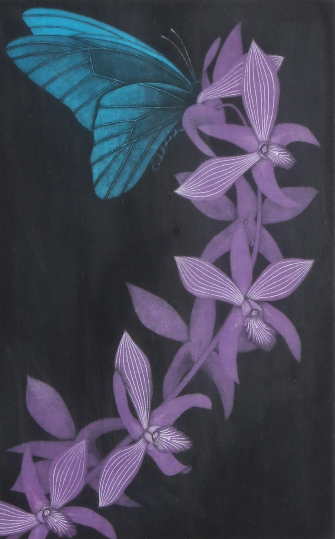 Neil Korpi | RoGallery