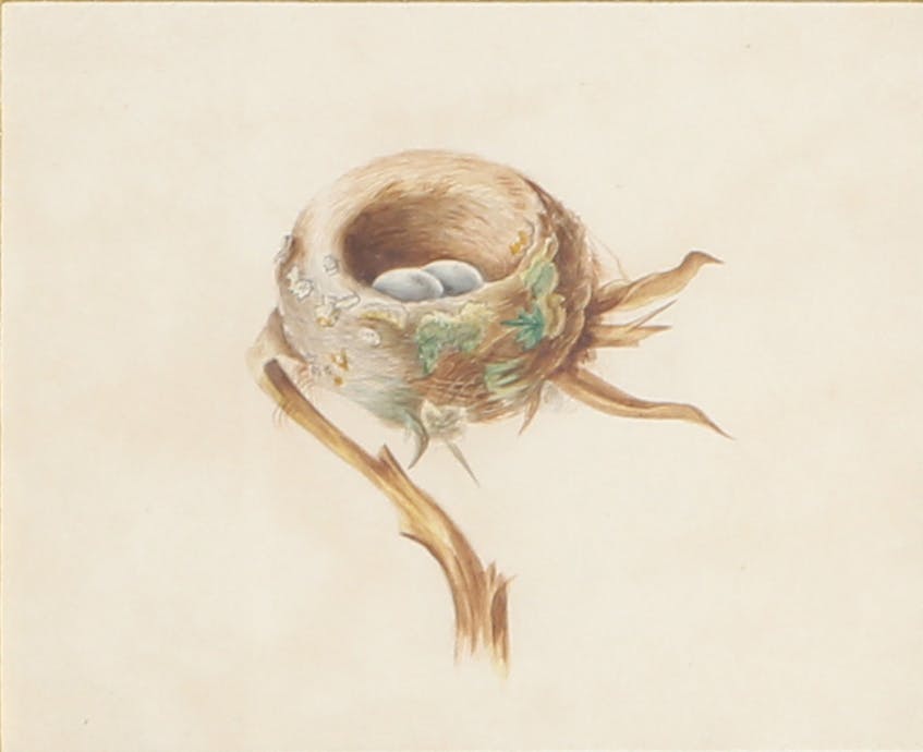 Edward Seager | RoGallery