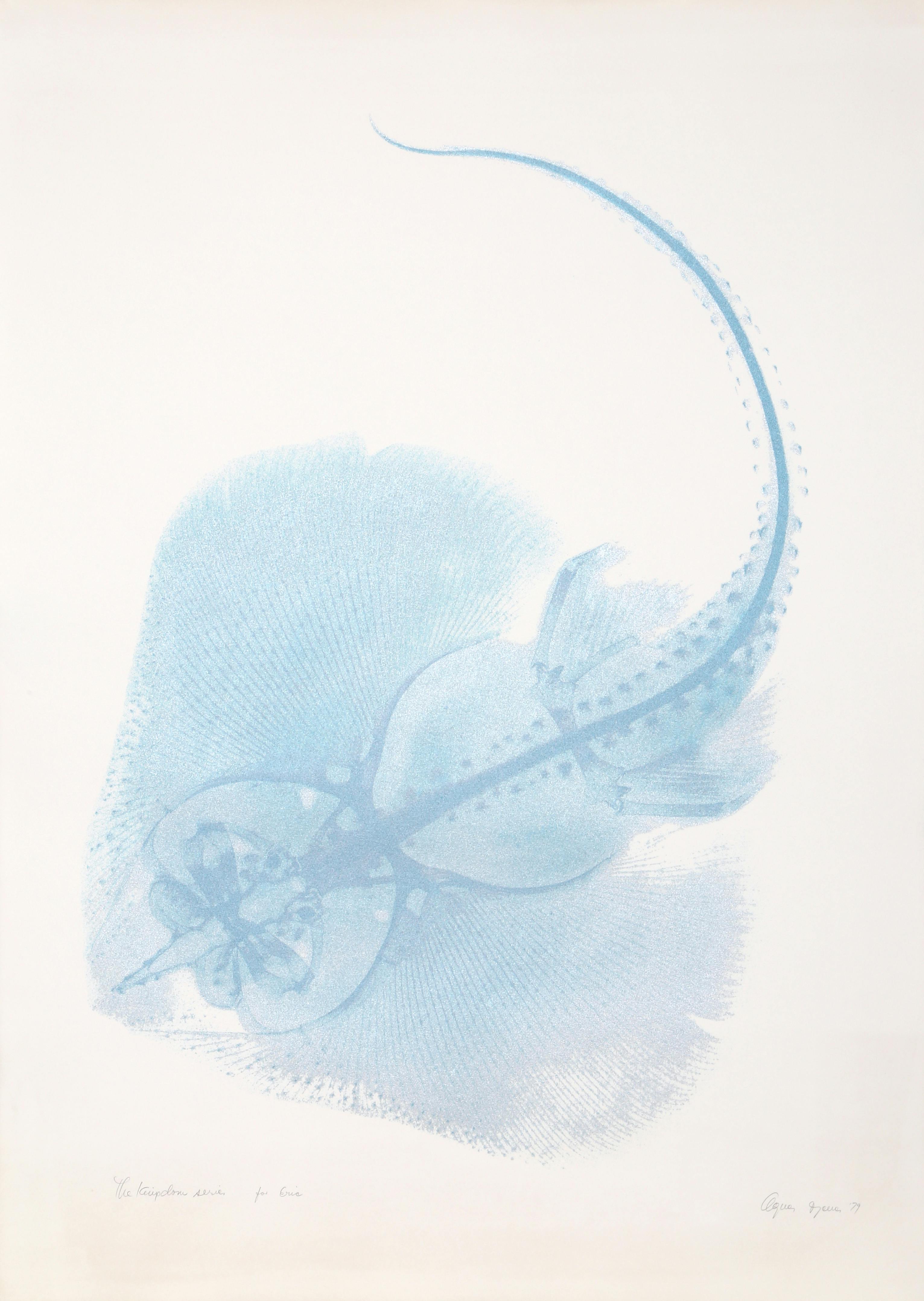 Agnes Denes Original Prints On Sale | RoGallery