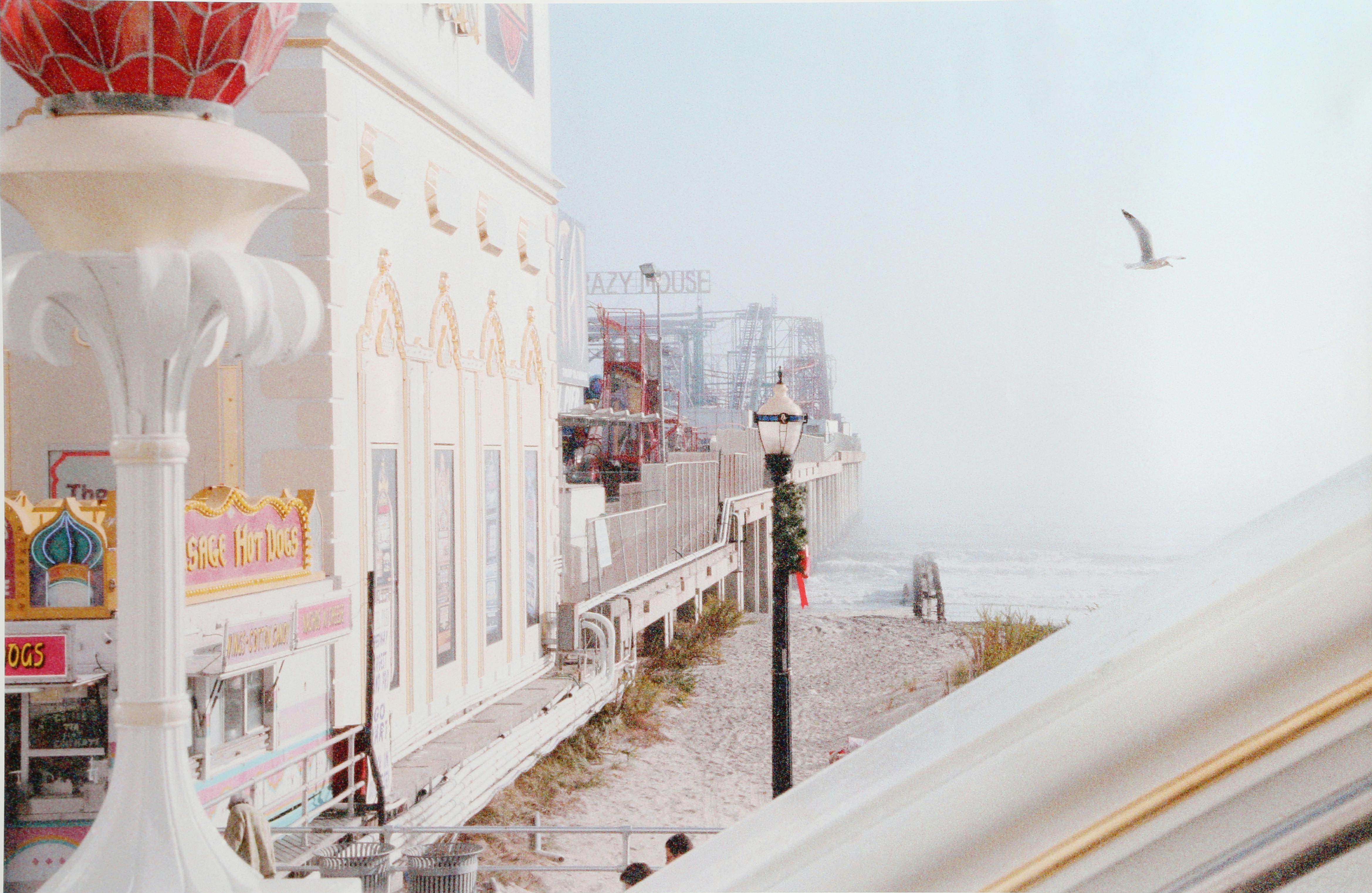 Peter Millard, Jr. | RoGallery