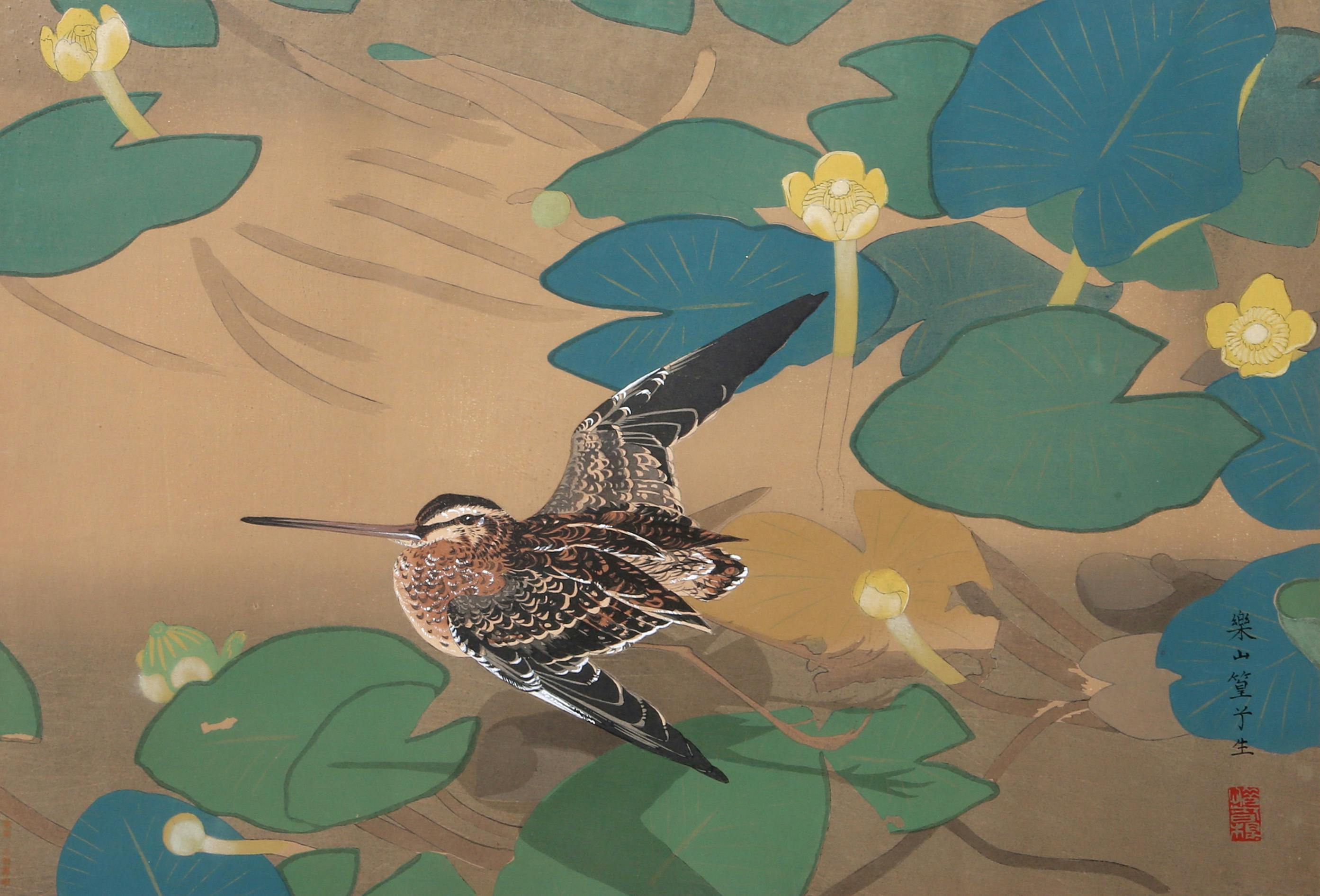 Rakusan Tsuchiya | RoGallery