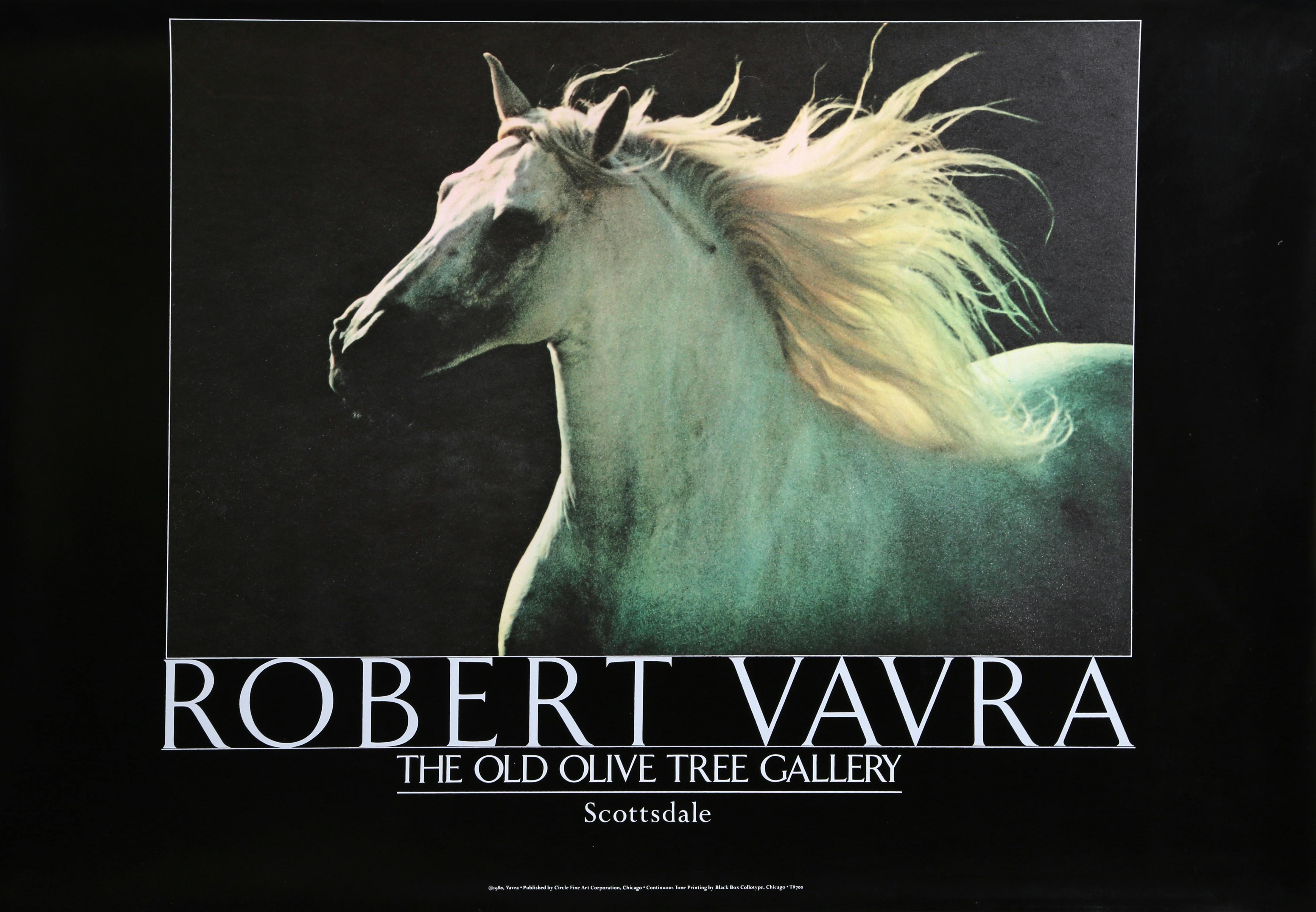 Robert Vavra | RoGallery