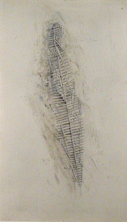 Robert Stackhouse | RoGallery