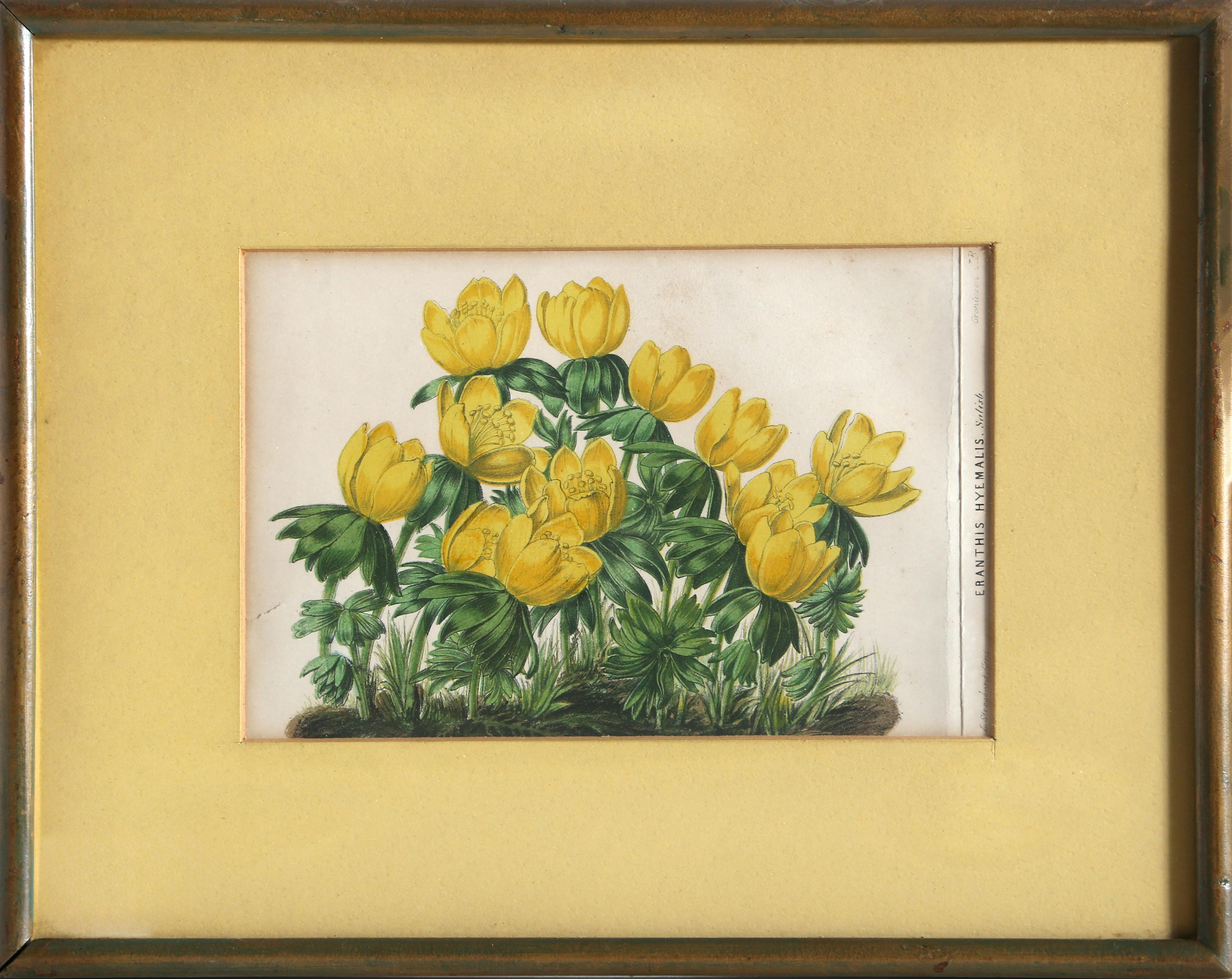 Floral Art | Abraham Jacobus Wendel | RoGallery