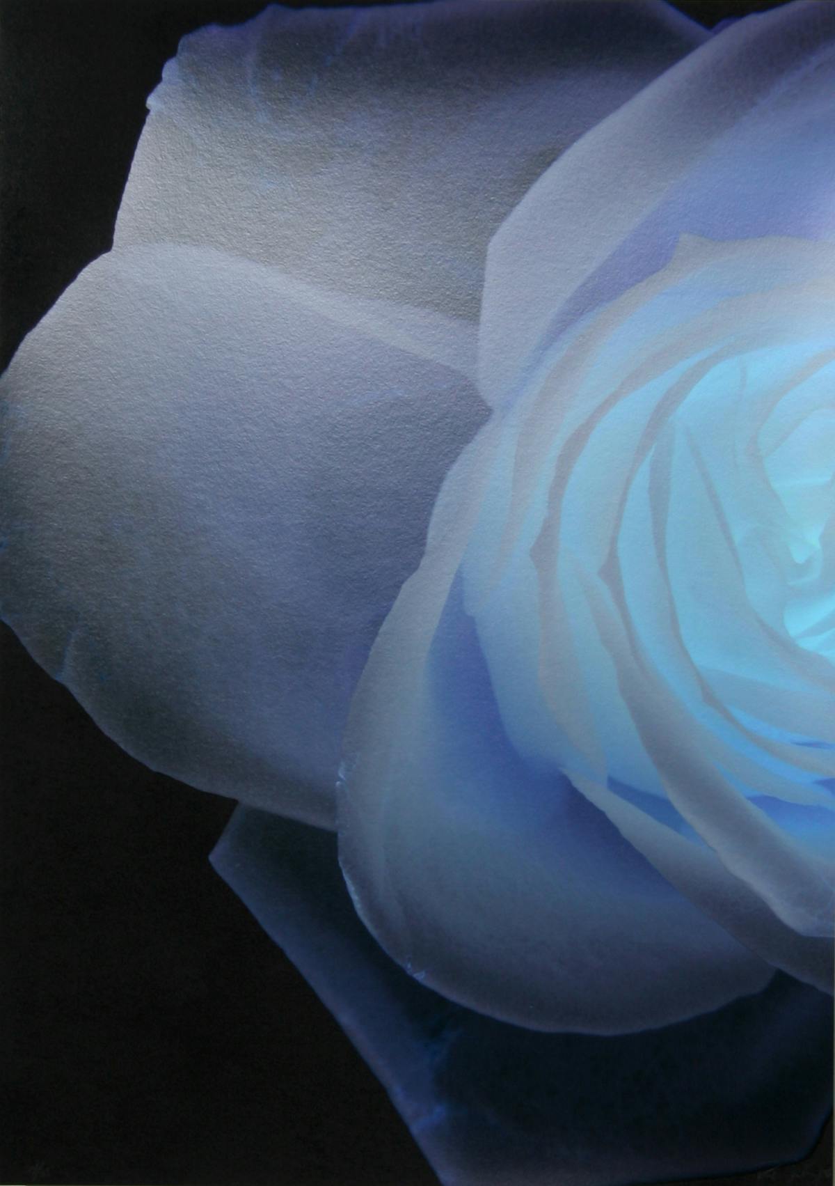 Paul Solberg | RoGallery