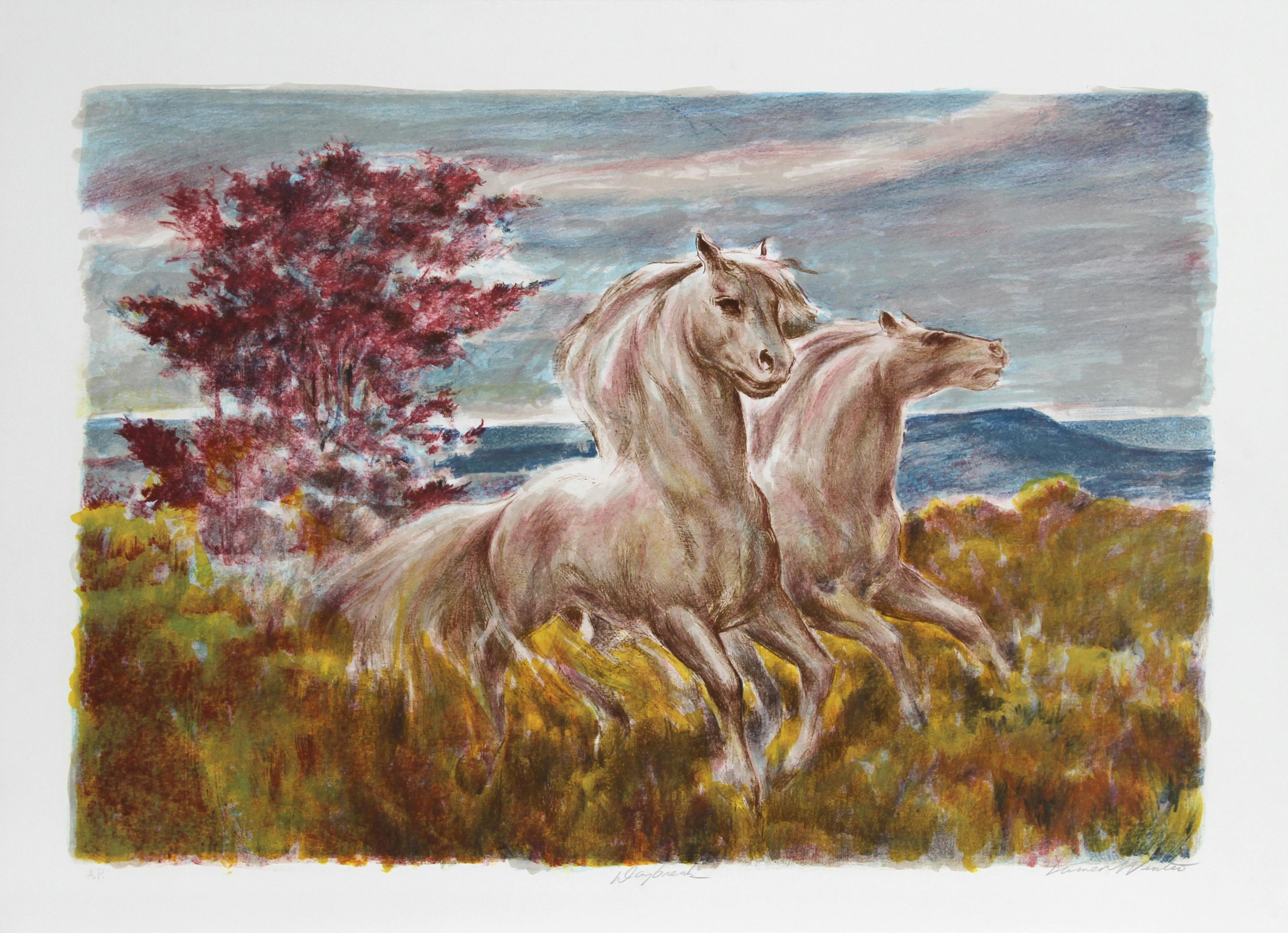 Lumen Martin Winter | RoGallery