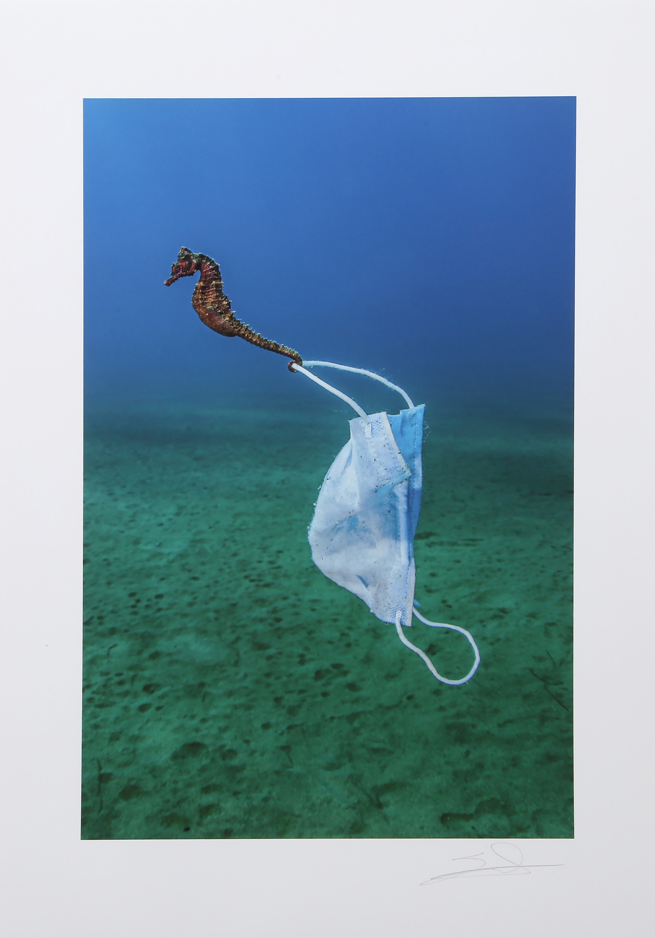 Underwater Photography | Nicholas Samaras | RoGallery