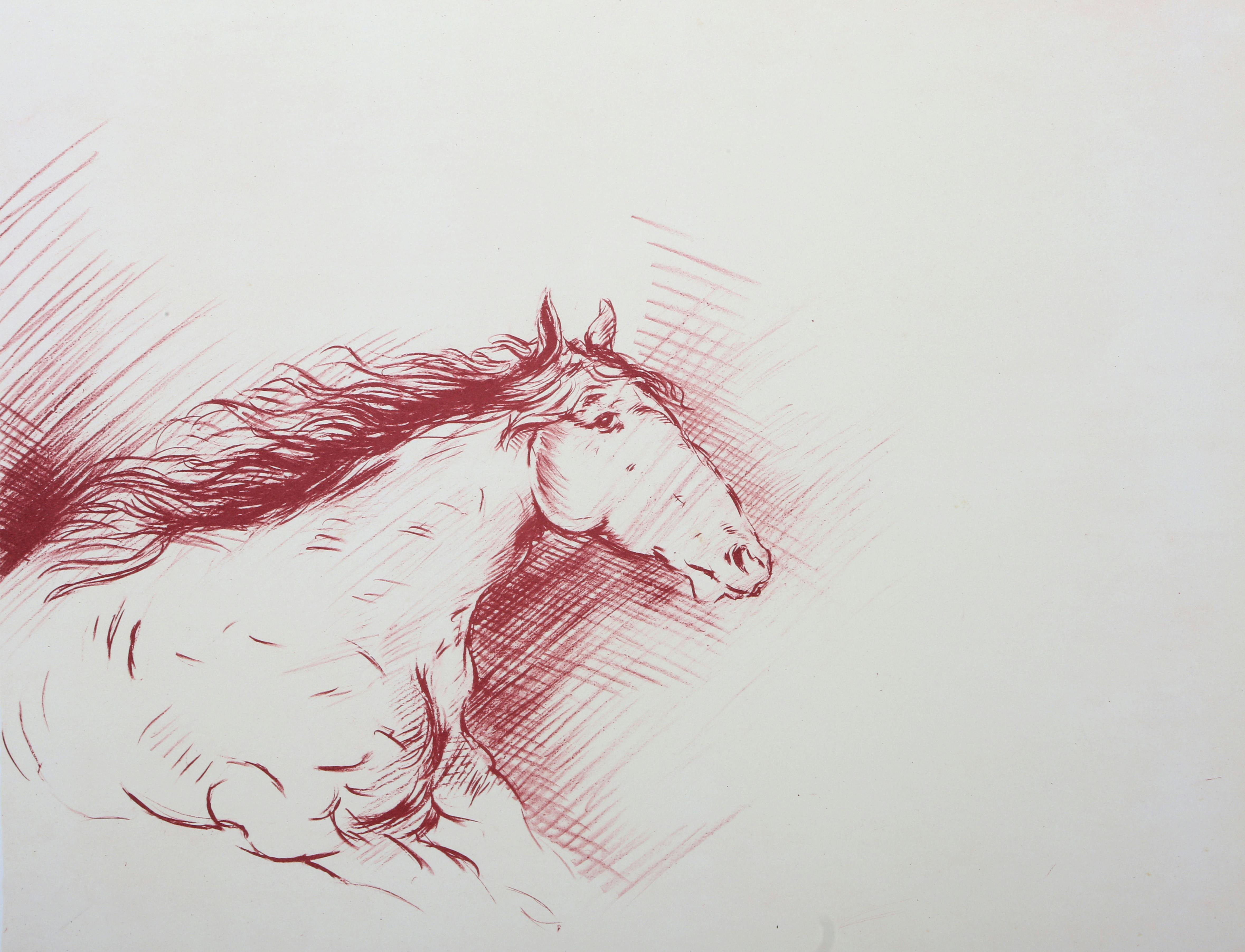 Equine Art | Jaime Corum | RoGallery