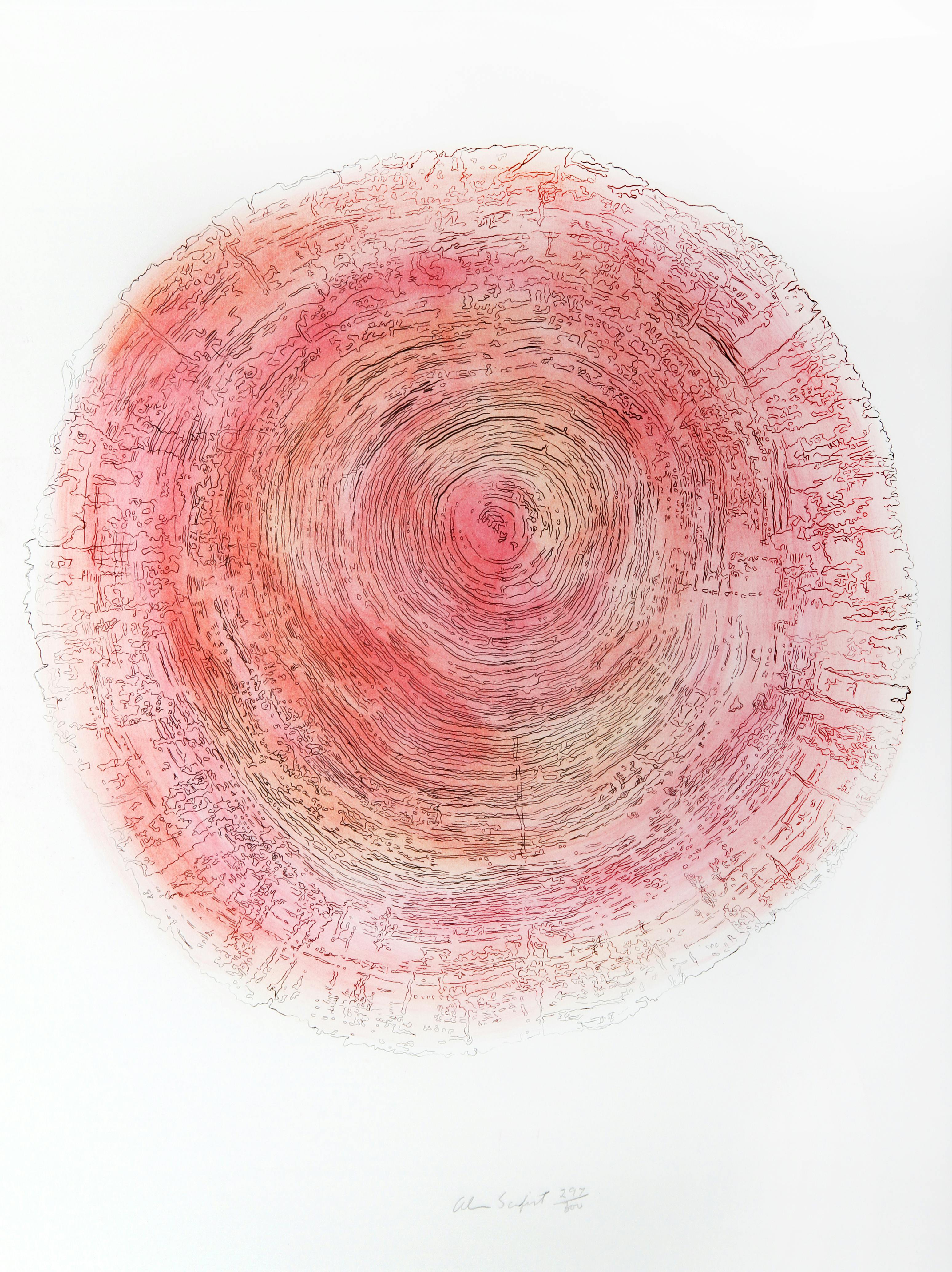 Alan Sonfist | RoGallery