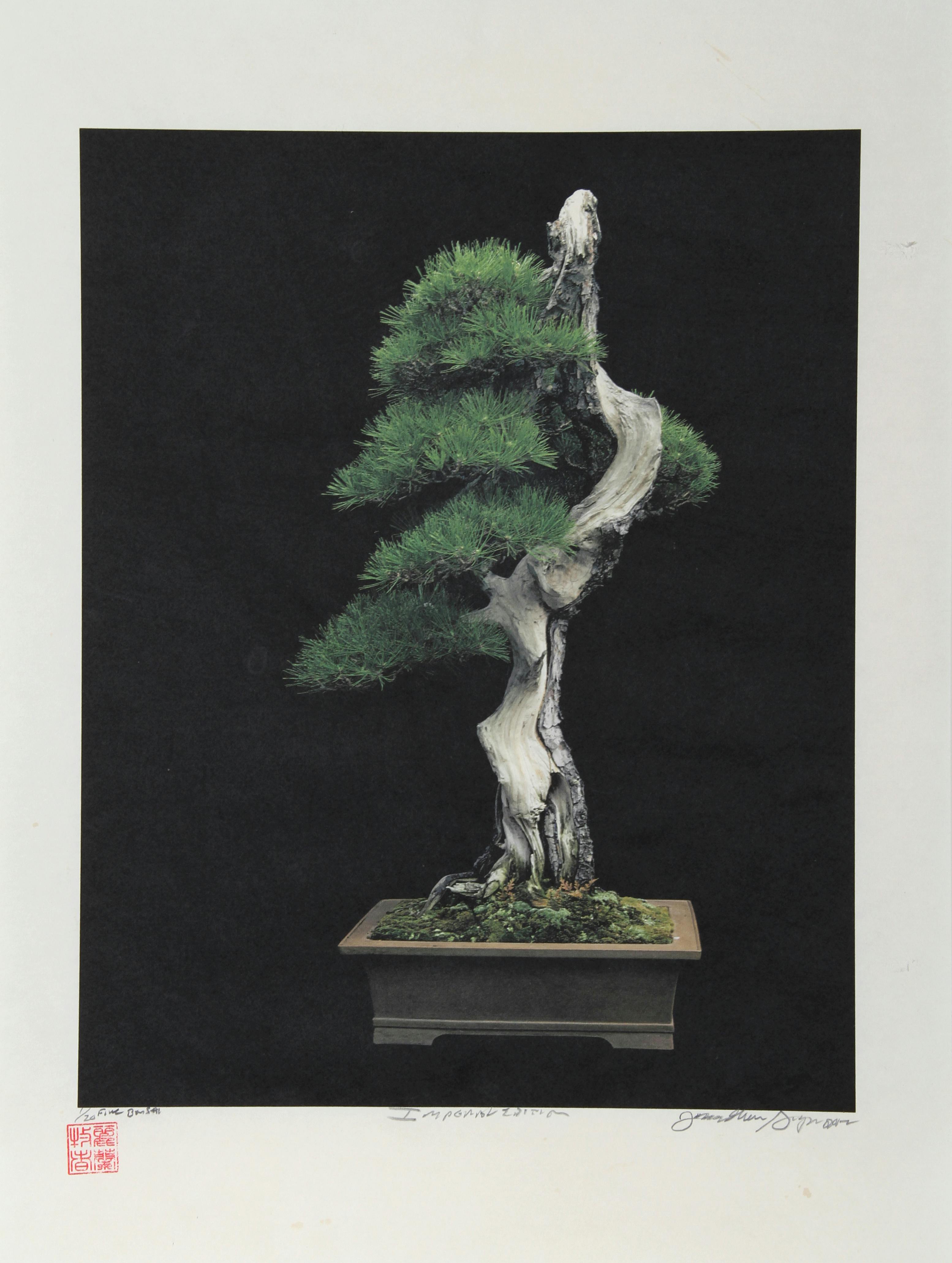 Jonathan Singer | RoGallery