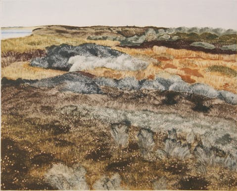 Marjorie Mason | RoGallery