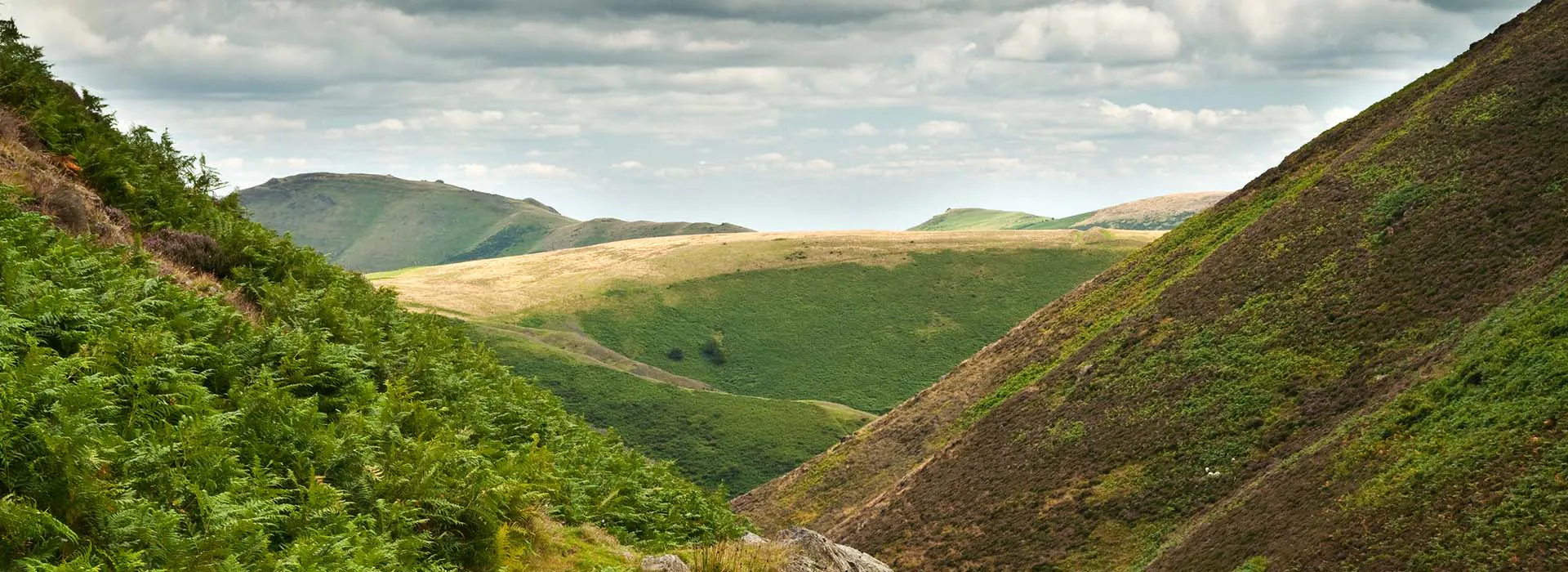 The Best Walks in the Shropshire Hills