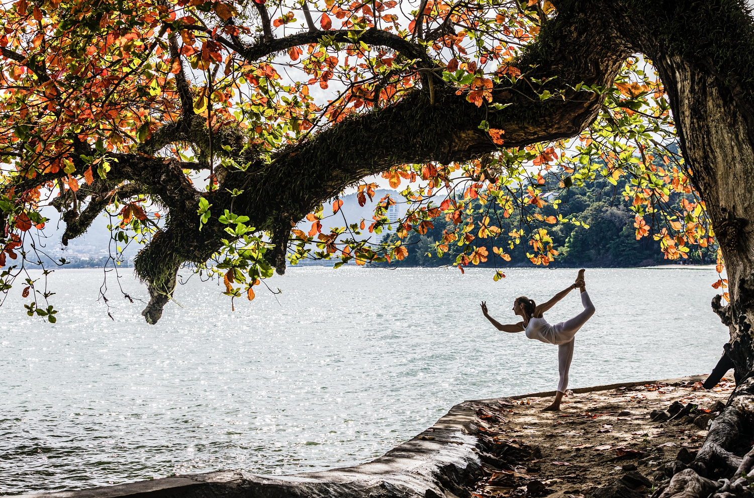 Rosewood Hotel Group | Hotel Brands | Asaya