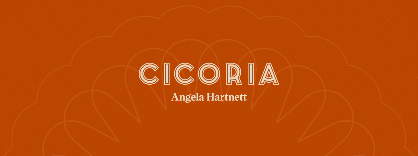 Cicoria