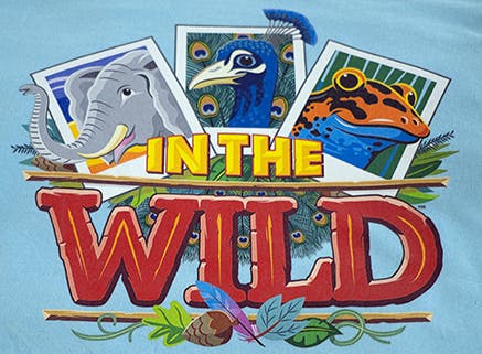 Advanced Multicolor Screen Printing | Vibrant Apparel