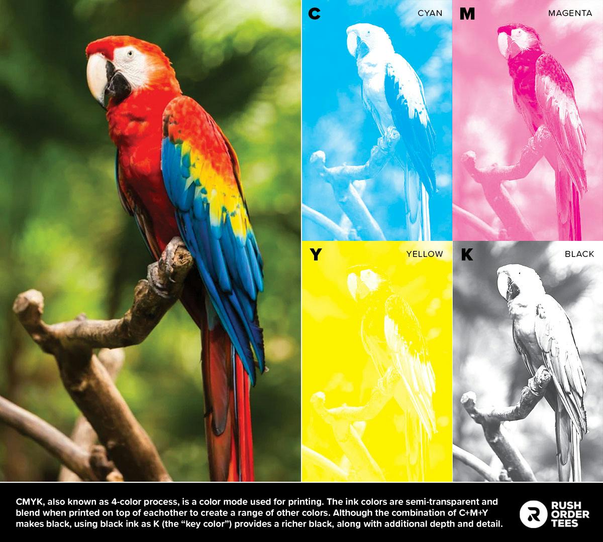 Cmyk Printing Vs Rgb Explanation What Is Cmyk Printni - vrogue.co Cmyk Printing Vs Rgb Explanation What Is Cmyk Printni - vrogue.co