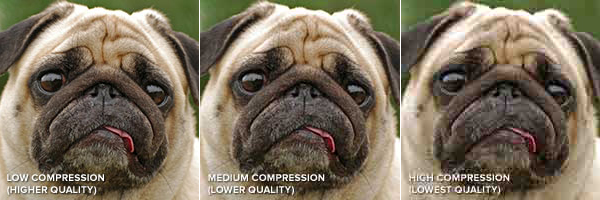 The Best File Types for T-Shirt Printing