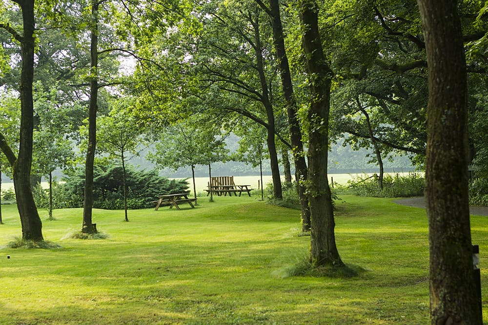 A Guide to Bonham State Park | RVshare.com