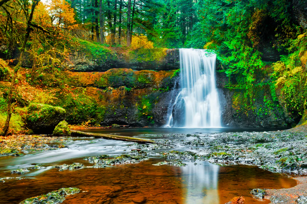 A Guide to Silver Falls State Park | RVshare.com