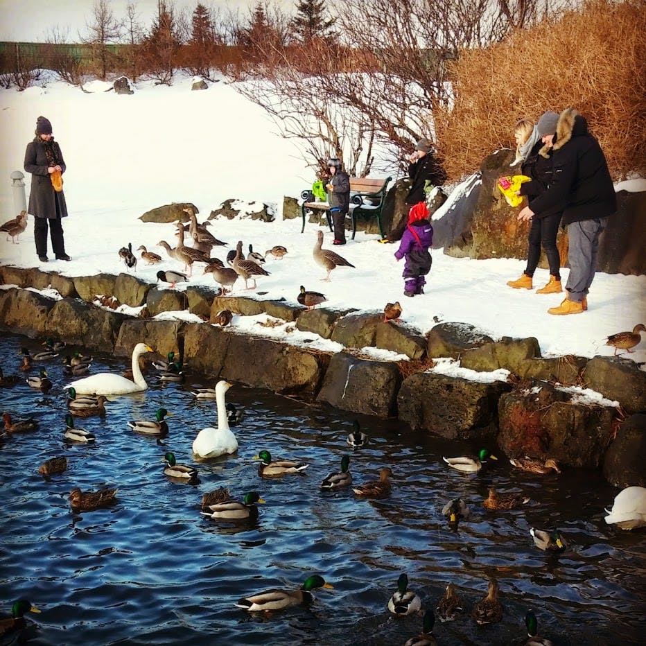Óskað er eftir tilnefningum til Orðsporsins 2025 | Samband íslenskra ...