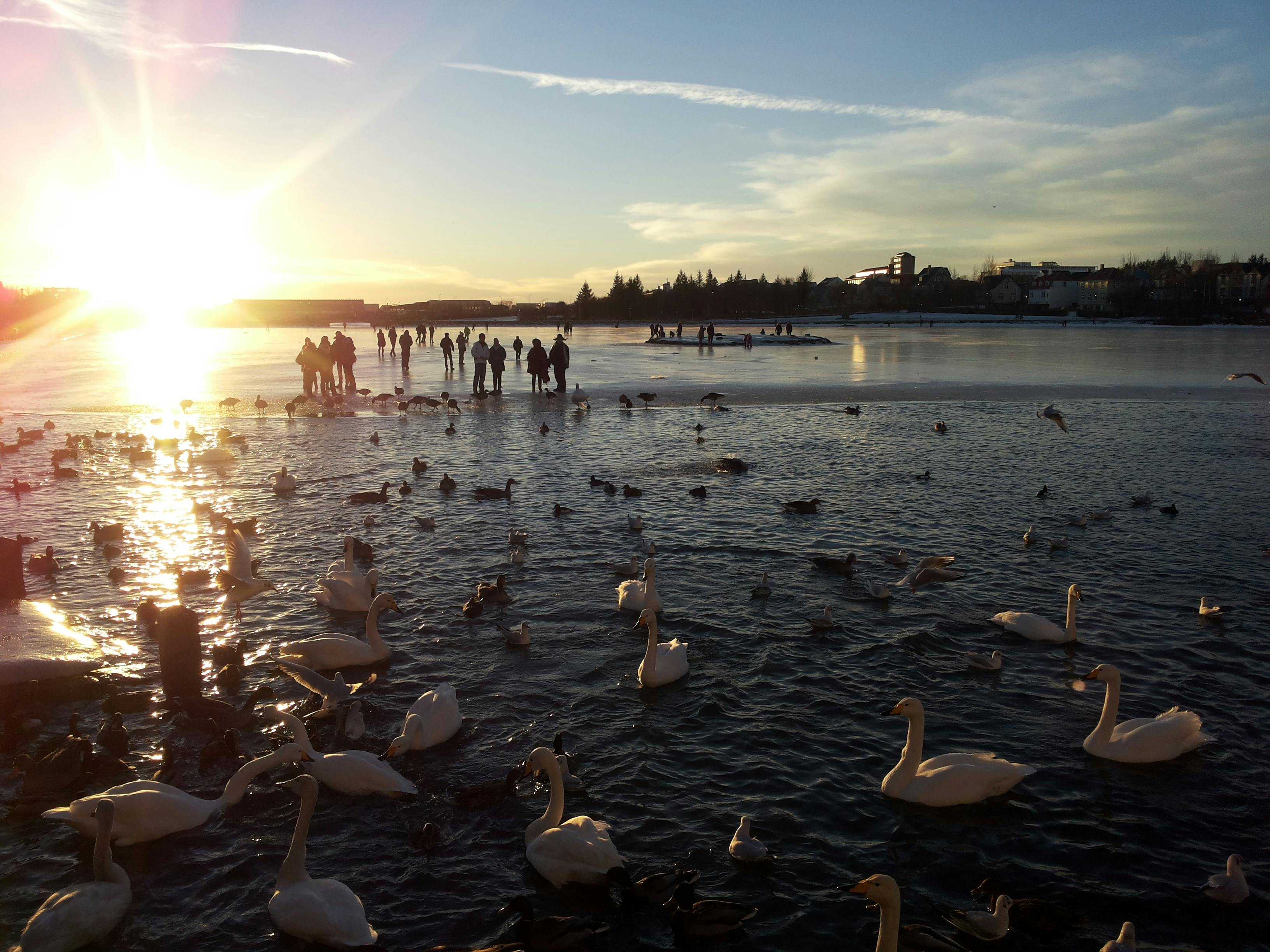 Opið fyrir umsóknir í Námsleyfasjóð 2026-2027 | Samband íslenskra ...