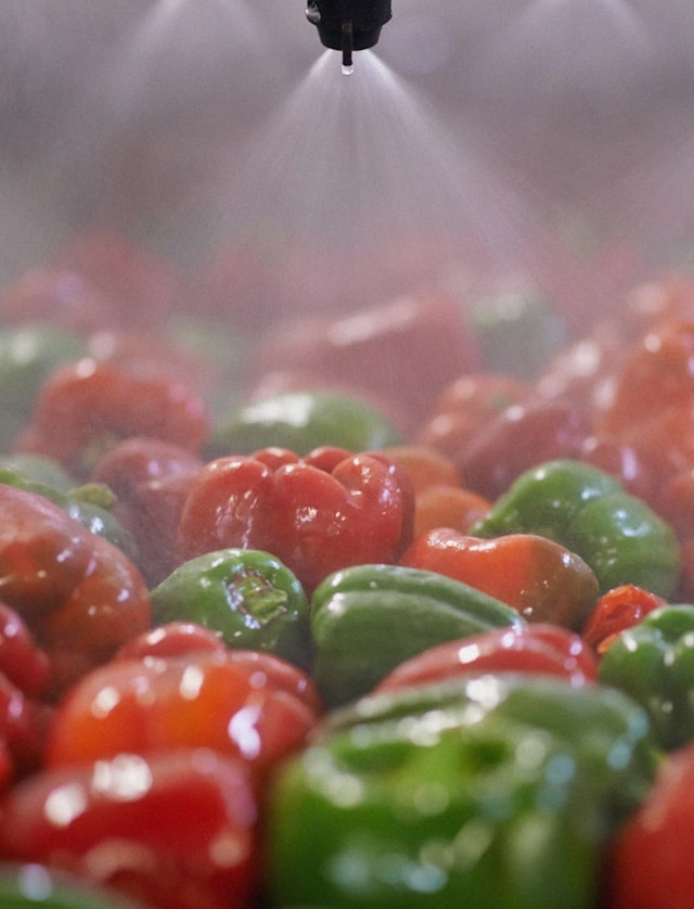 Cored Bell Peppers | Sandy Shore Farms