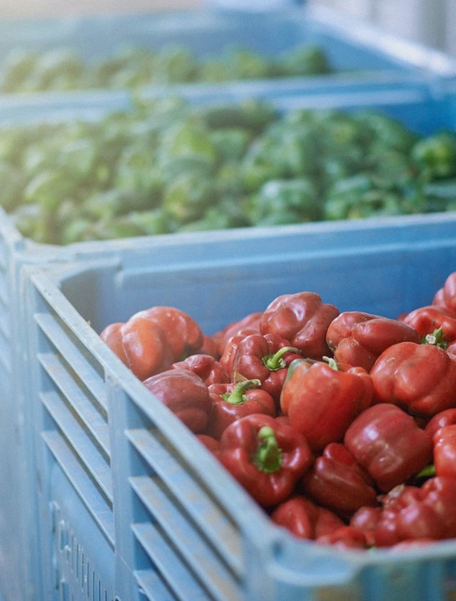 Cored Bell Peppers | Sandy Shore Farms