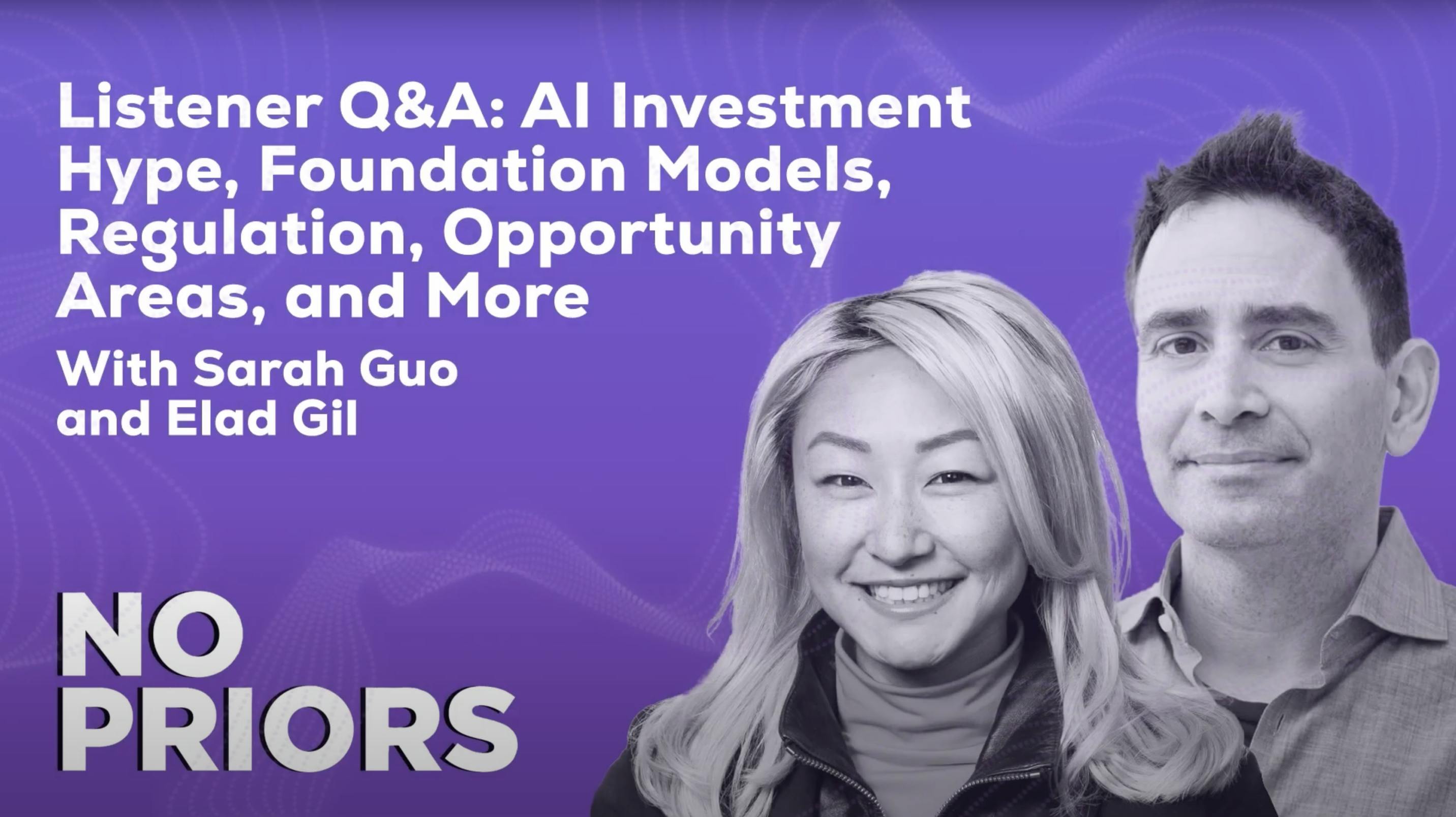 No Priors 🎙️114: Elad & Sarah on AI Investment Hype, Foundation Models ...