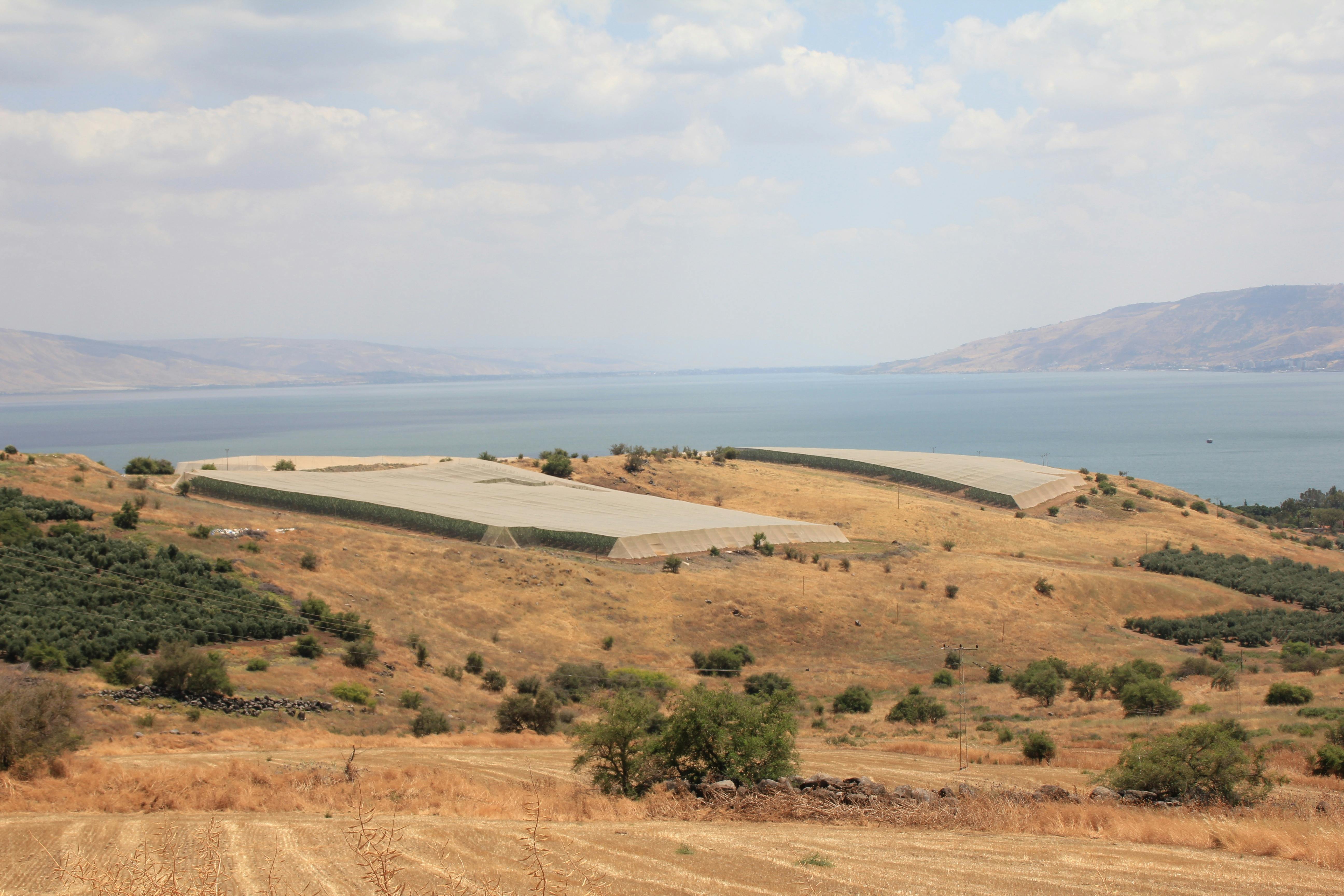 How Israeli Agriculture Technology is Changing The World For The Better ...