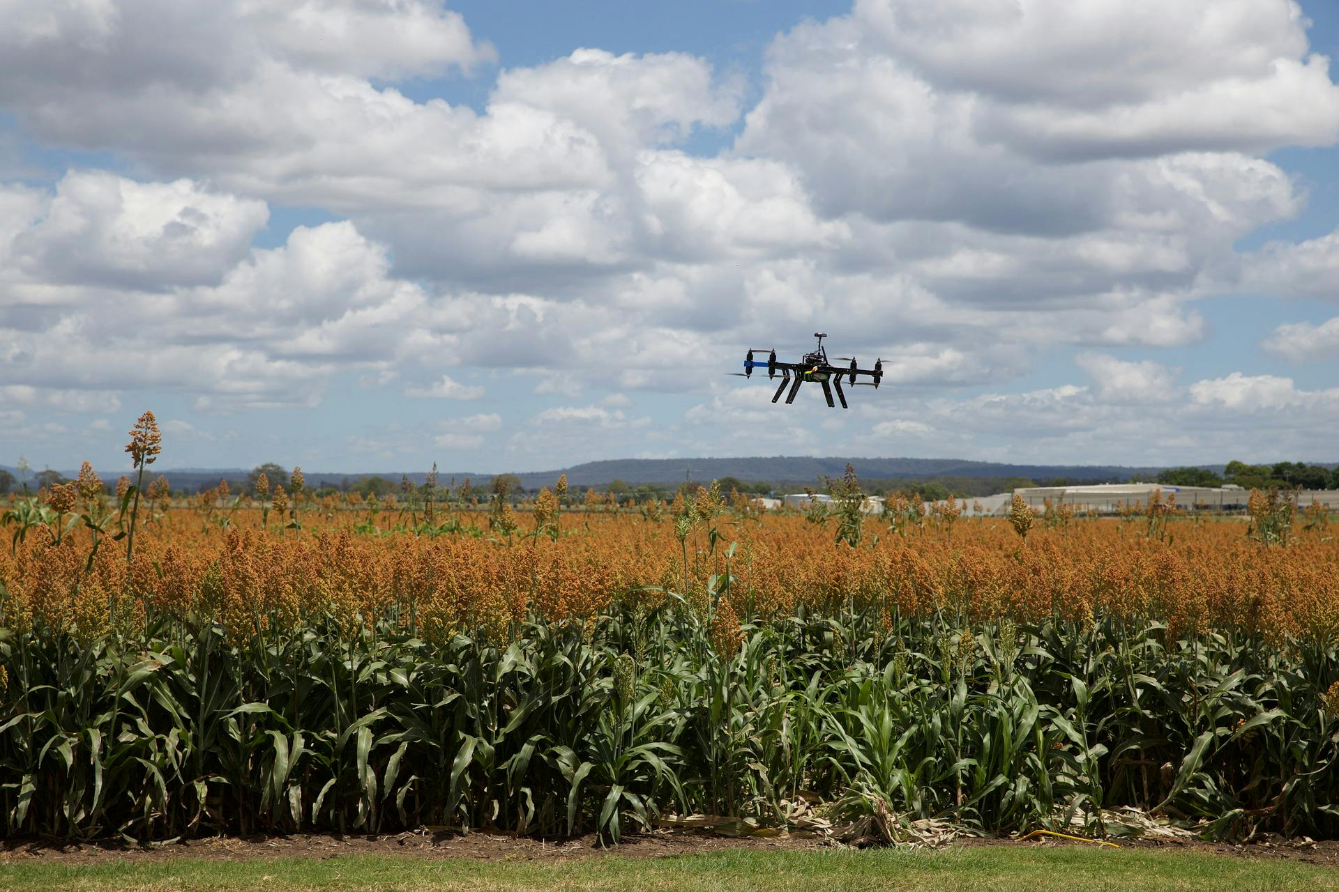 How Israeli Agriculture Technology is Changing The World For The Better ...