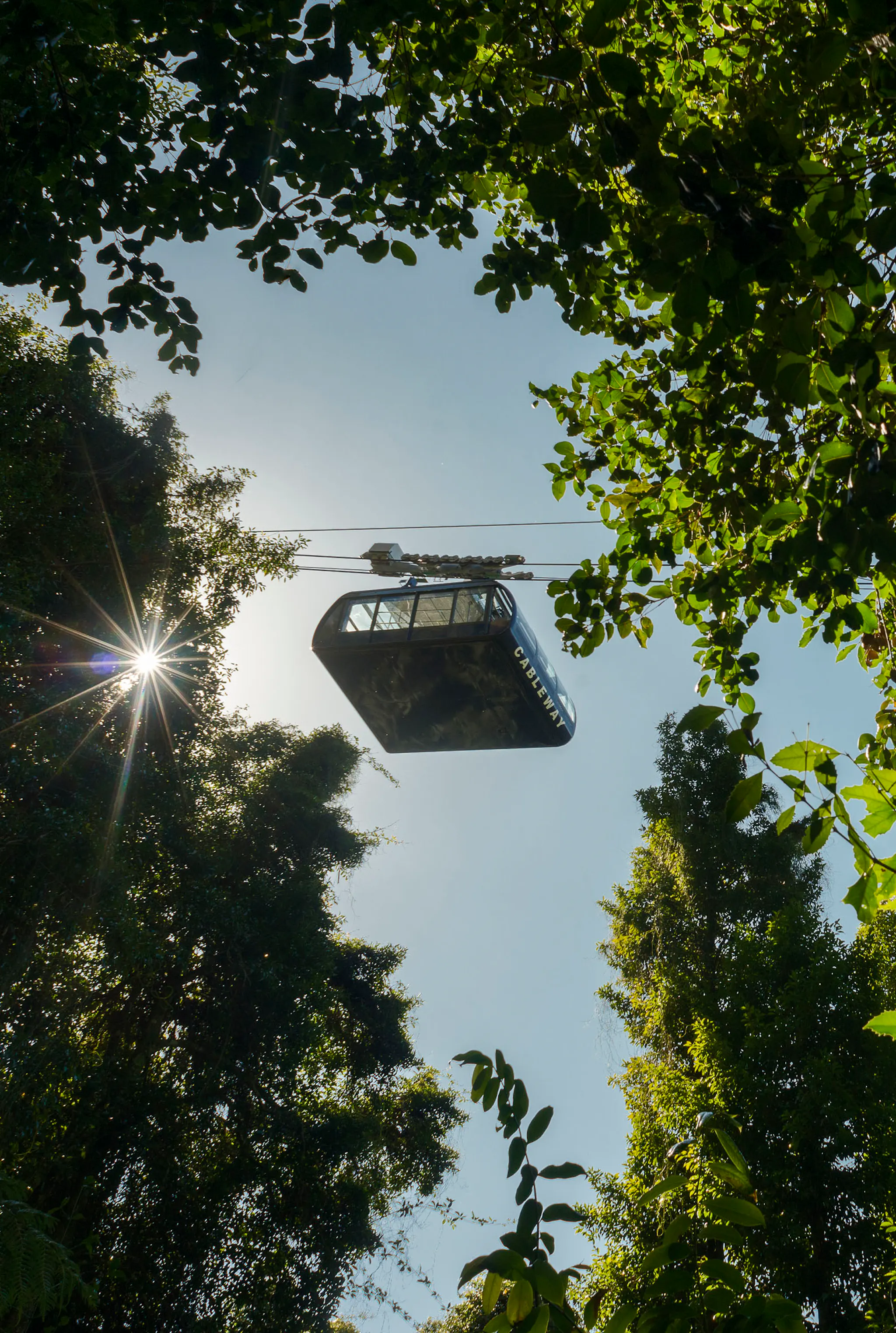 Scenic World