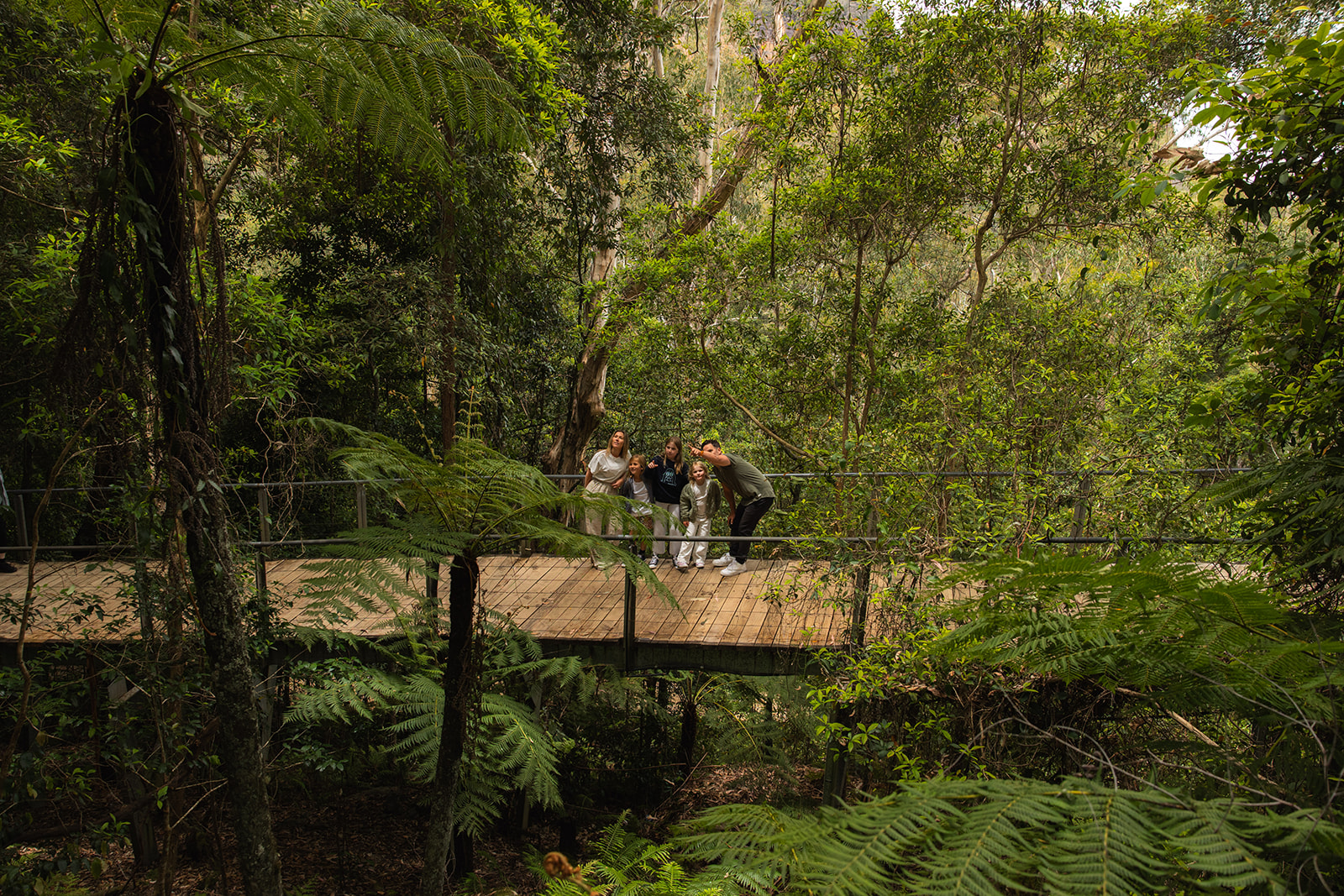Gift Cards | Scenic World
