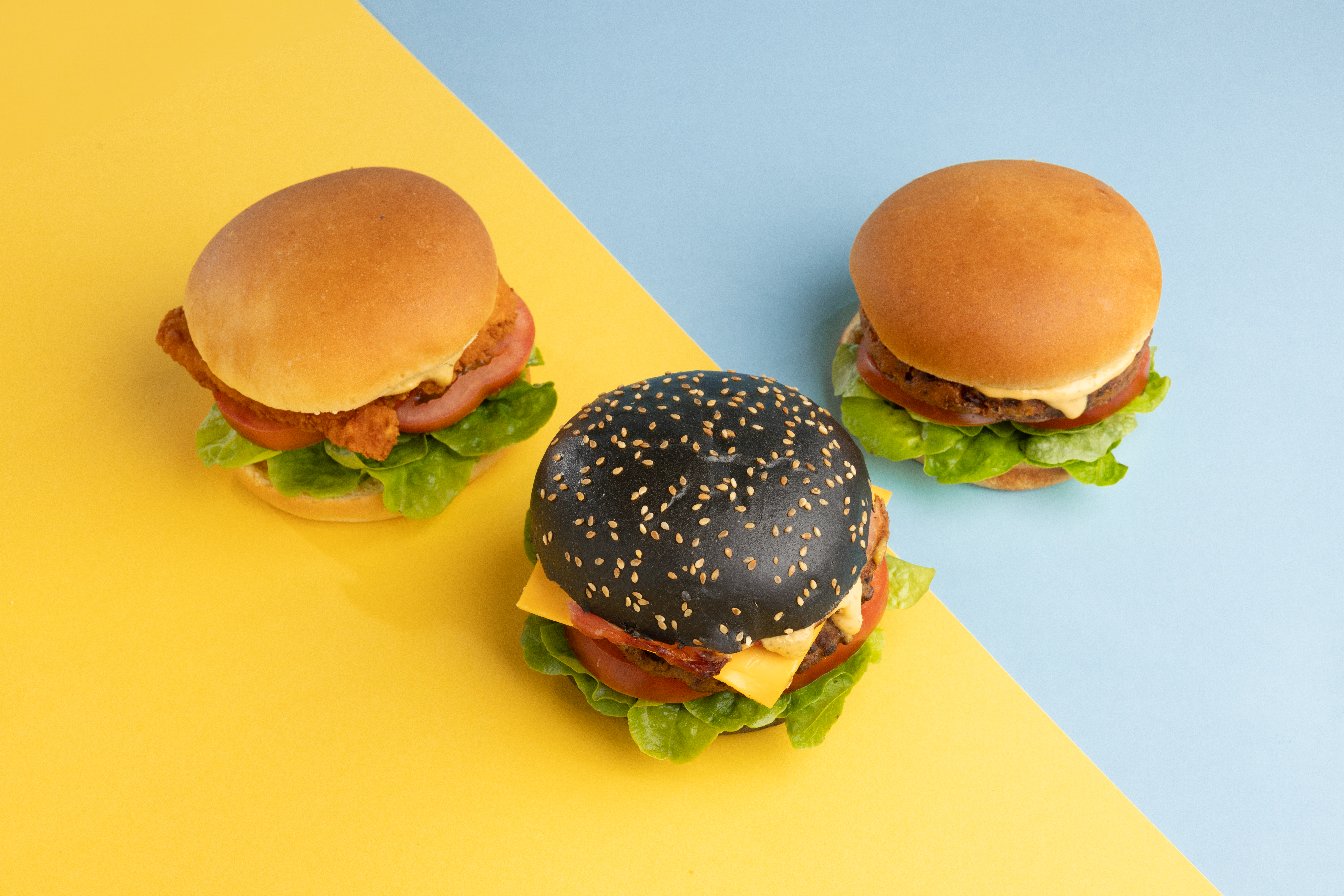 My Tickets | Scenic World